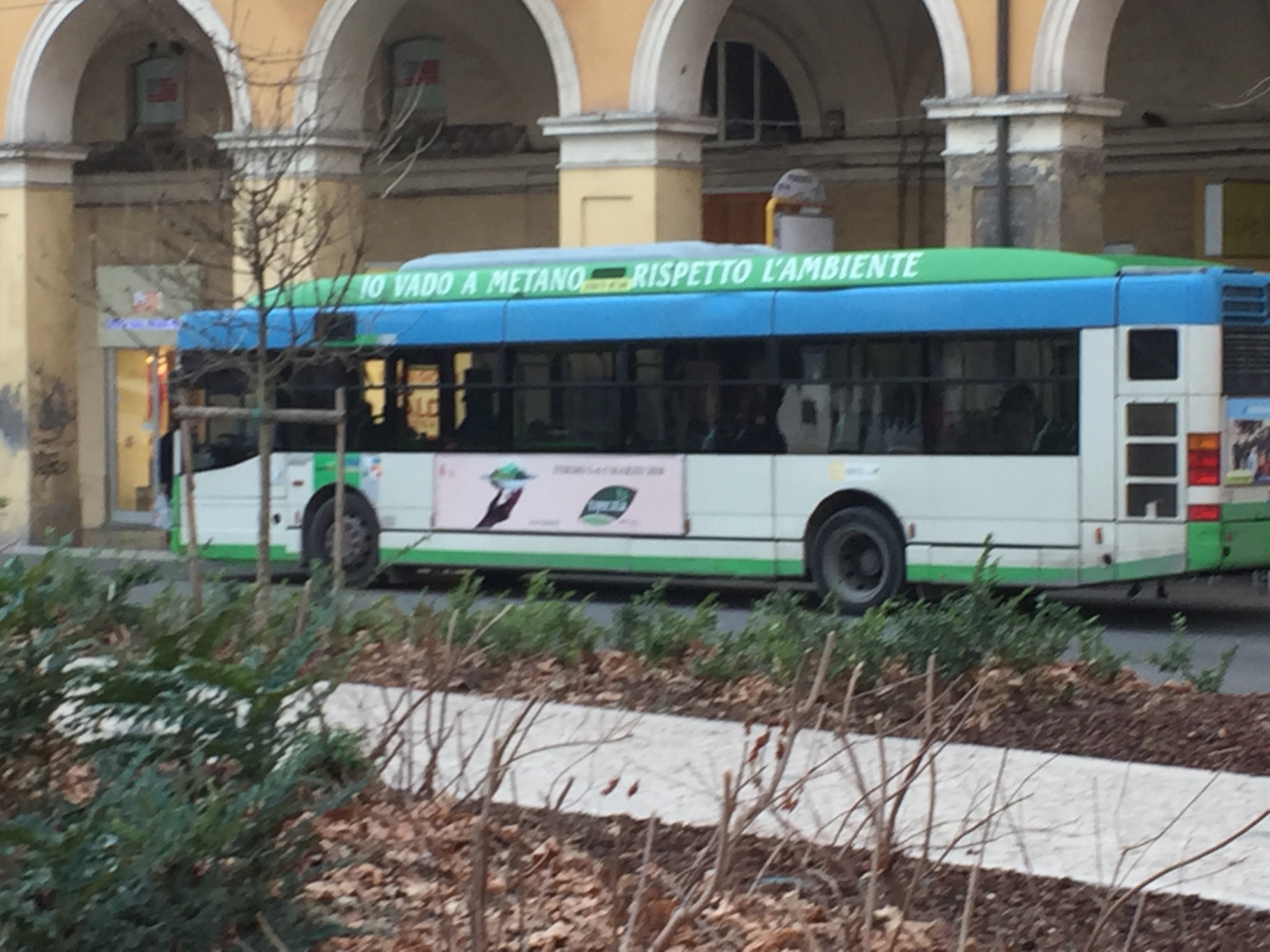 tipicità si promoziona con la pubblicità negli autobus, anche ad ancona ...